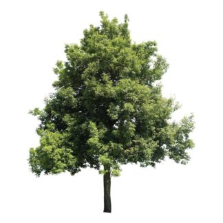 T3_002 – sozaiya.com