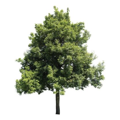 T3_002 – sozaiya.com