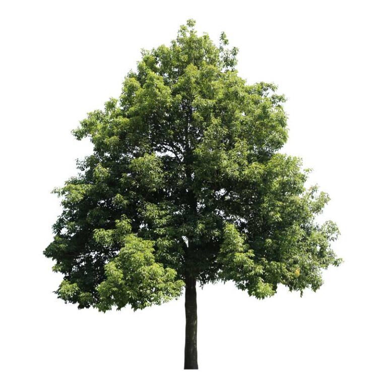 T3_082 – sozaiya.com