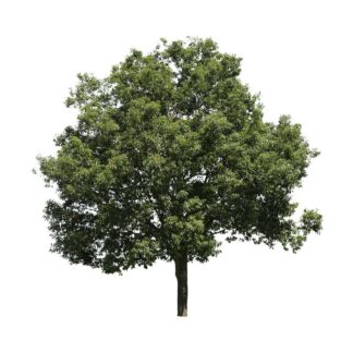 T3_088 – sozaiya.com