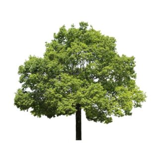 T3_234 – sozaiya.com