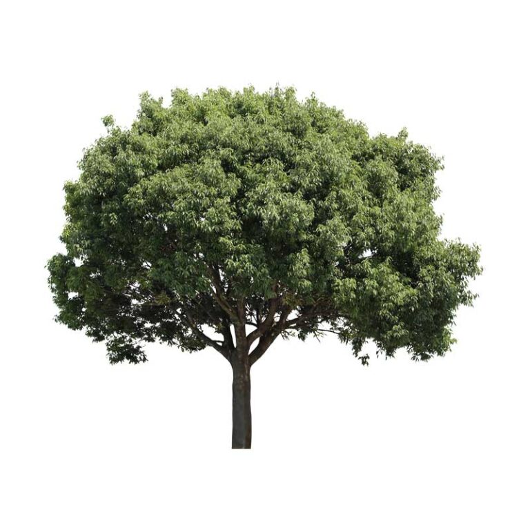 T3_082 – sozaiya.com