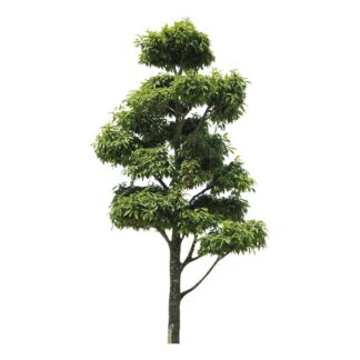 T3_247 – sozaiya.com