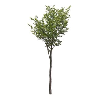 T3_191 – sozaiya.com