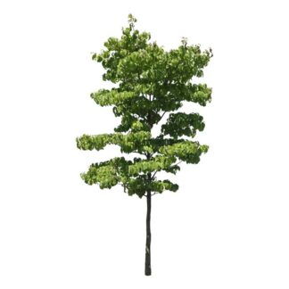 T3_088 – sozaiya.com