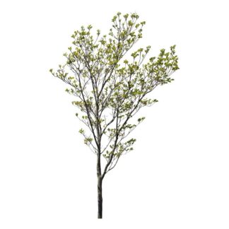 T3_088 – sozaiya.com