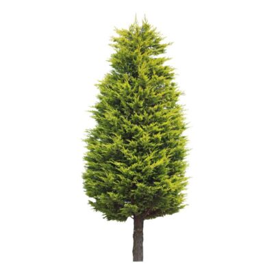 T3_088 – sozaiya.com