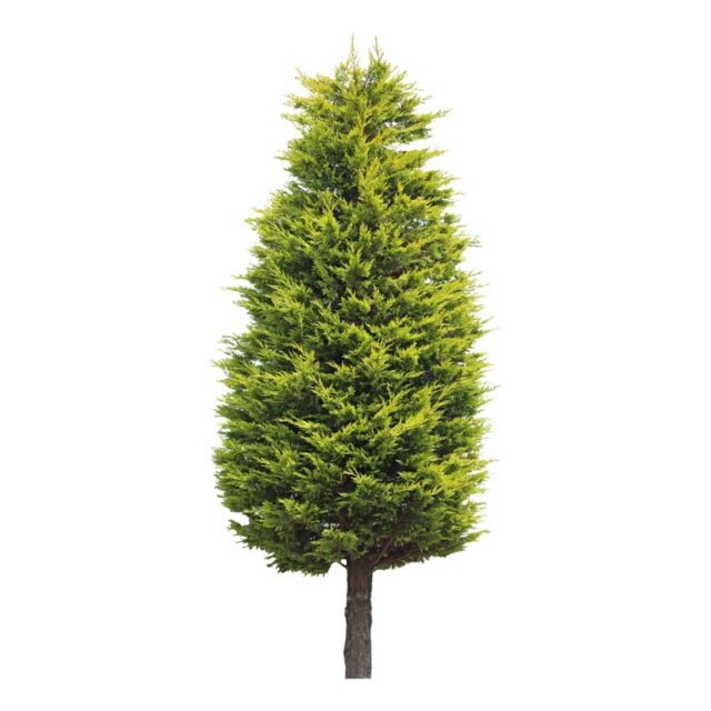 T3_270 – sozaiya.com