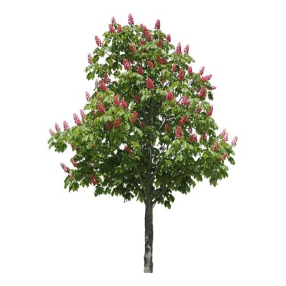 T3_202 – sozaiya.com