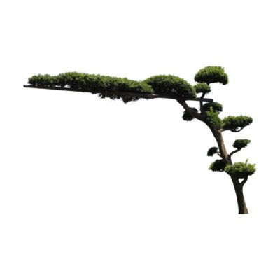 T3_275 – sozaiya.com