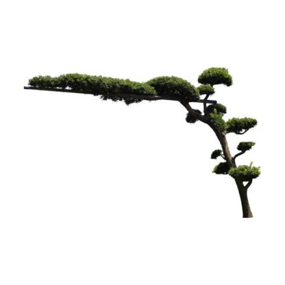 T3_003 – sozaiya.com