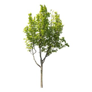 T3_282 – sozaiya.com