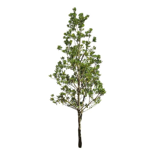 T3_285 – sozaiya.com