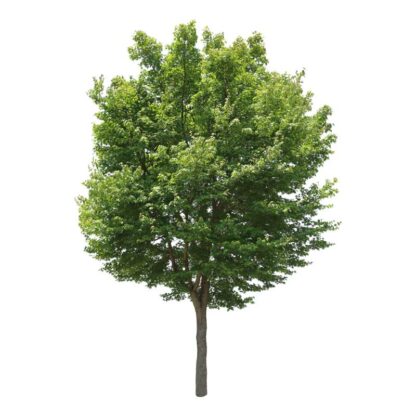 T3_288 – sozaiya.com