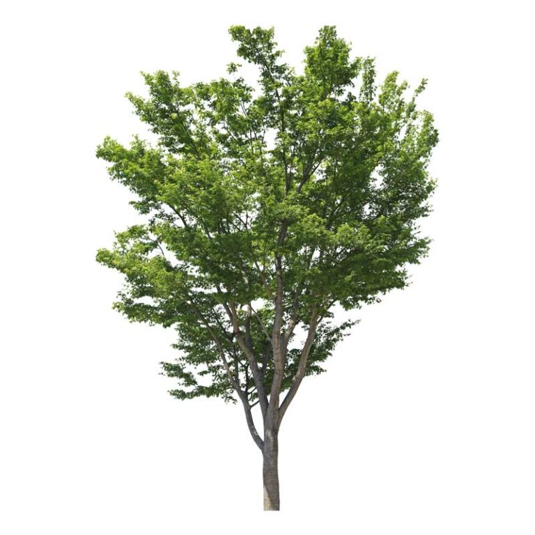 T3_289 – sozaiya.com