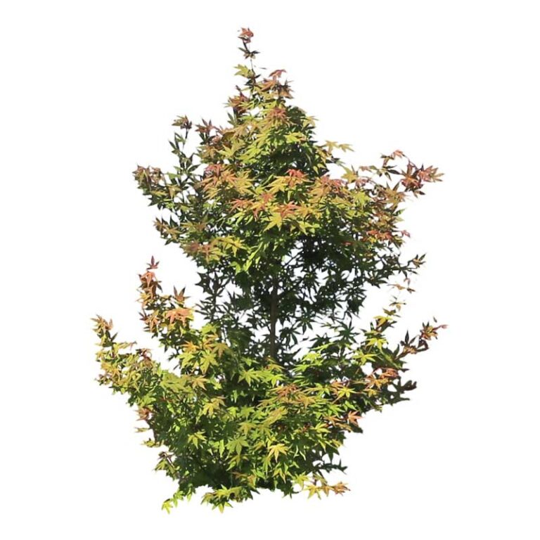 T3_290 – sozaiya.com