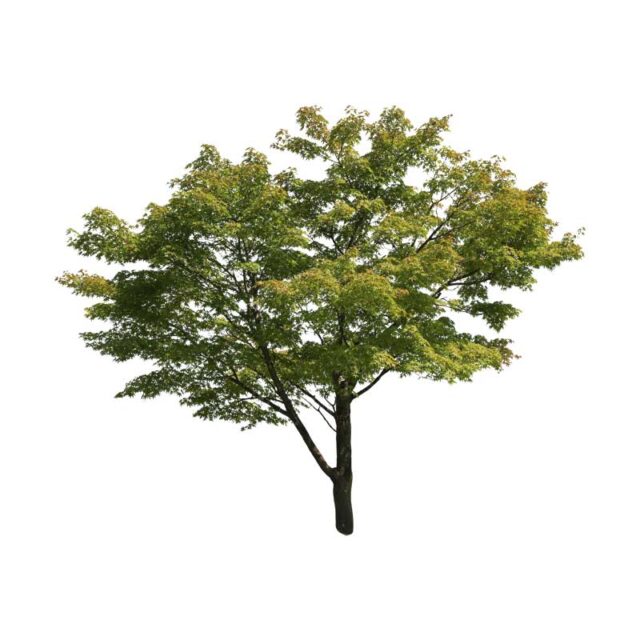 T3_291 – sozaiya.com