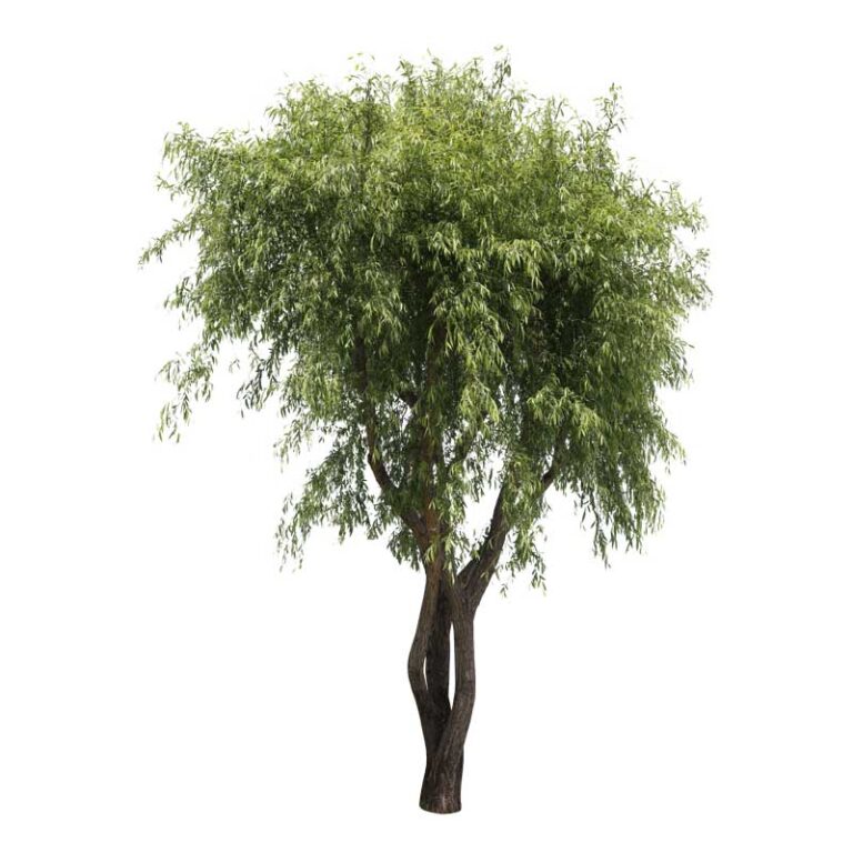 T3_323 – sozaiya.com