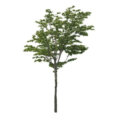 T3_082 – sozaiya.com