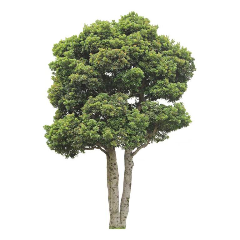 T3_312 – sozaiya.com