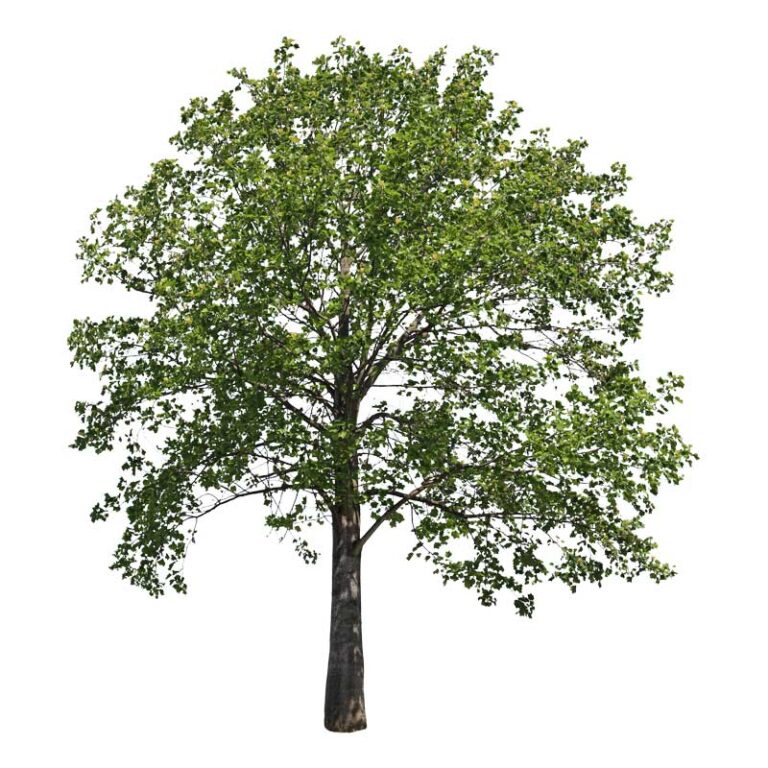 T3_127 – sozaiya.com