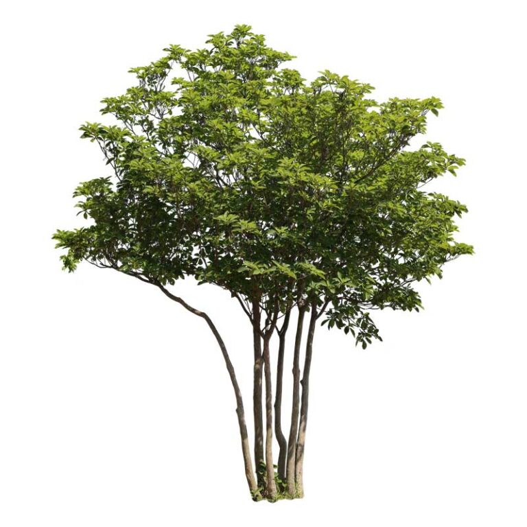 T3_082 – sozaiya.com