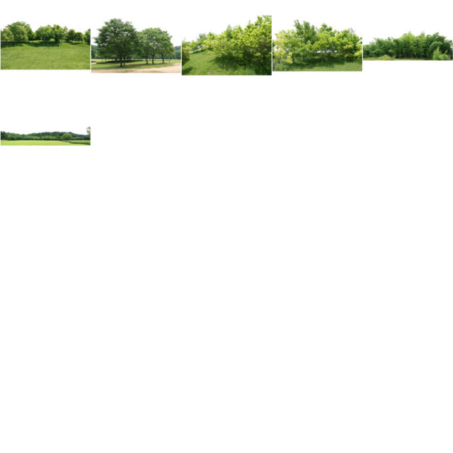 Free-Background-Baummaterial-Set 56-teilig free_haikei – sozaiya.com