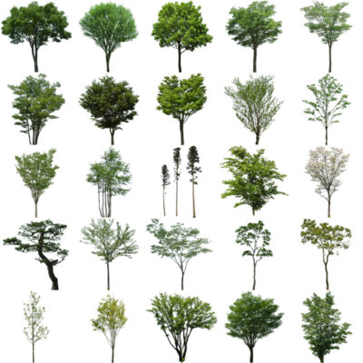 Free tree material set 01-100 pieces free_trees_set01 – sozaiya.com