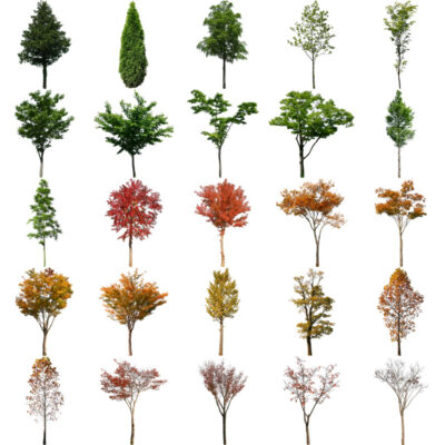 Free tree material set 01-100 pieces free_trees_set01 – sozaiya.com