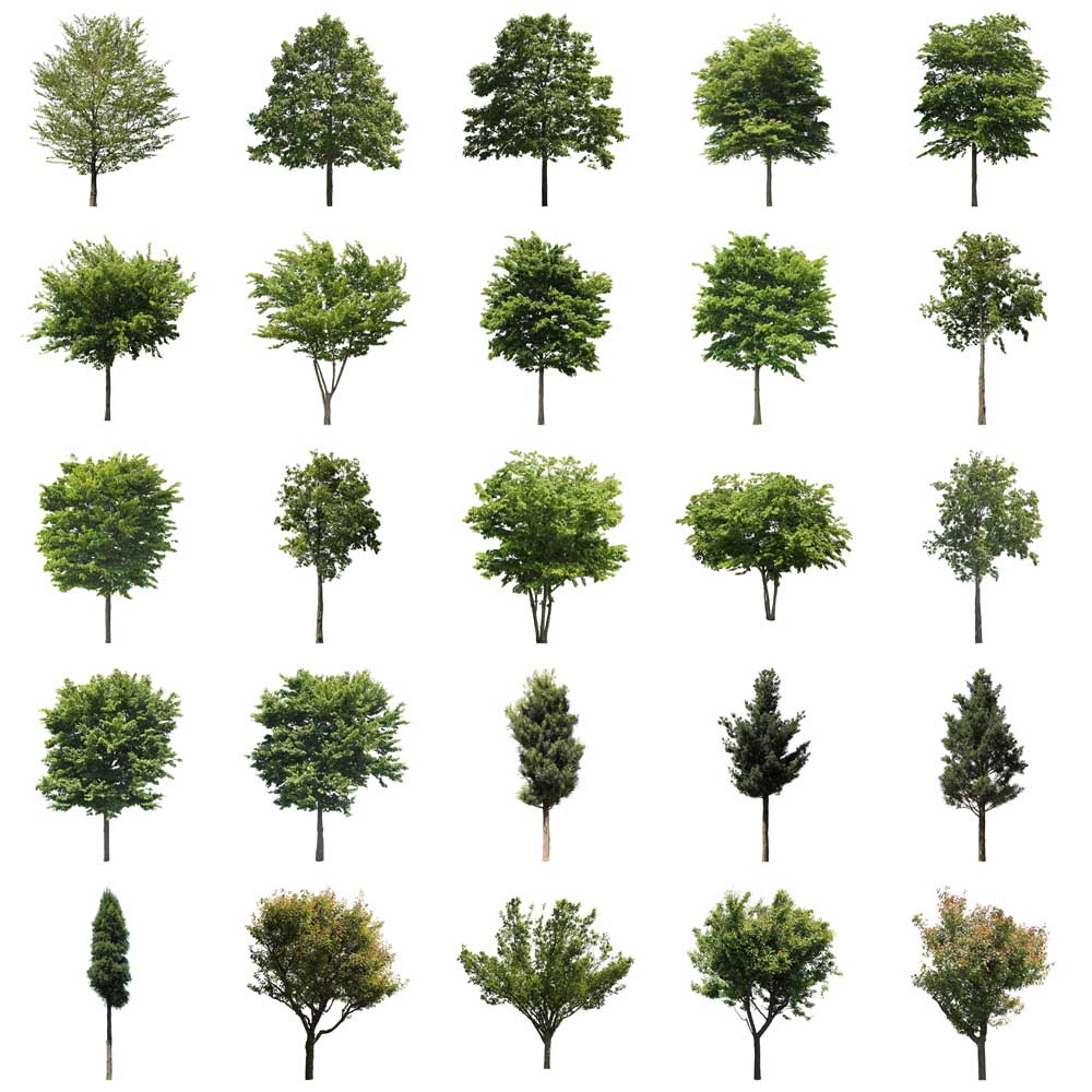無料樹木素材セット04-100個 free_trees_set04 – sozaiya.com