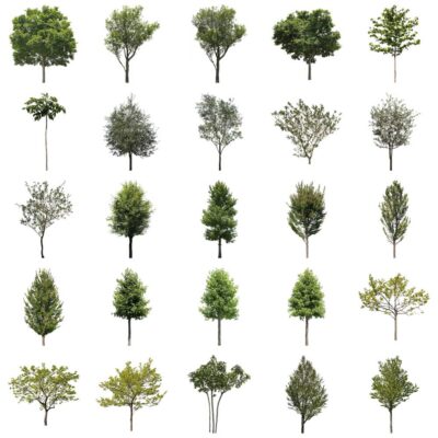無料樹木素材セット04-100個 free_trees_set04 – sozaiya.com