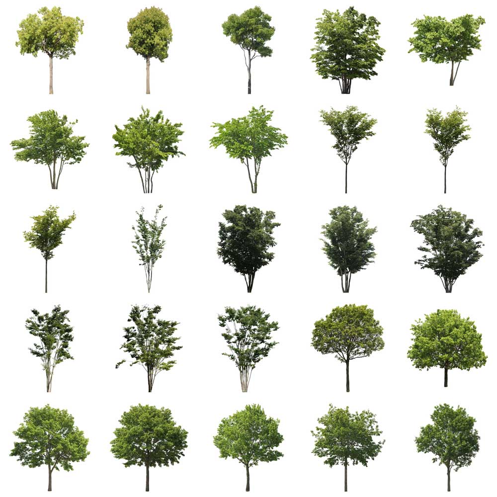 無料樹木素材セット05-100個 free_trees_set05 – sozaiya.com
