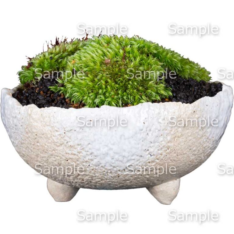 bonhachi_03 – sozaiya.com