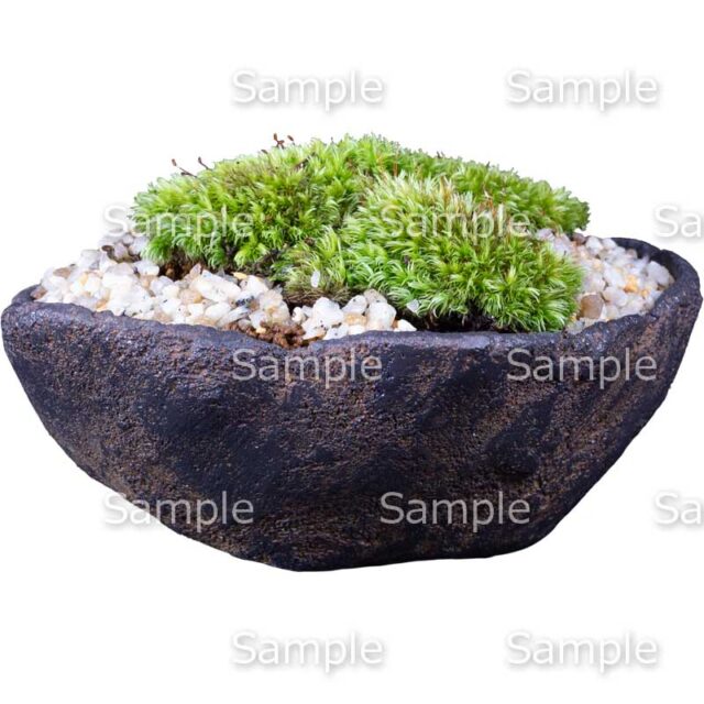 bonhachi_01 – sozaiya.com