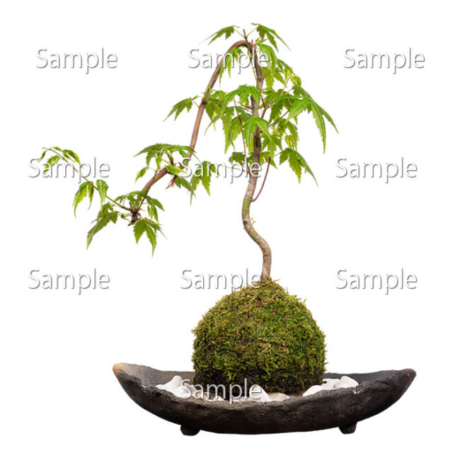 bonhachi_02 – sozaiya.com