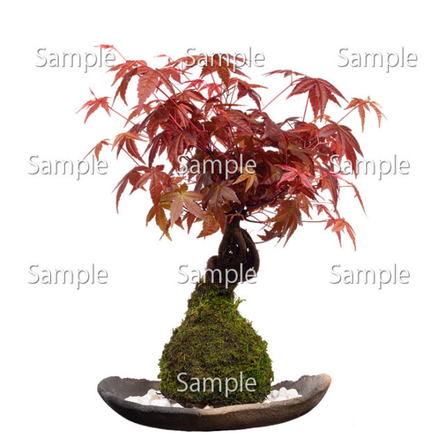 bonhachi_02 – sozaiya.com